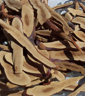 Red Reishi Mushrooms or Ganoderma lucidum-WIld Harvested or Cultivated